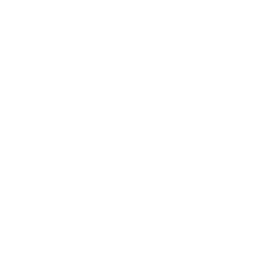 Raj SPA Raj SPA